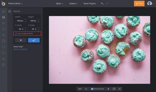 How to Resize an Image | Learn BeFunky