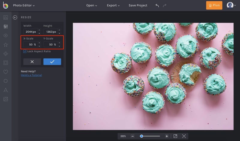 How to Resize an Image | Learn BeFunky