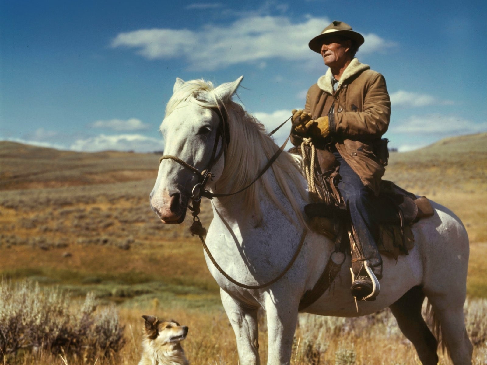 How to Restore and Recolor Photos | Learn BeFunky