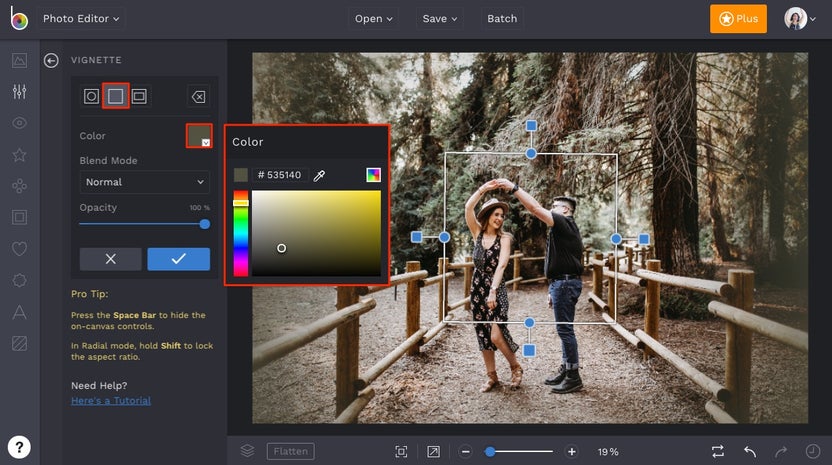 Your Ultimate Guide To Vignette Effects | Learn BeFunky