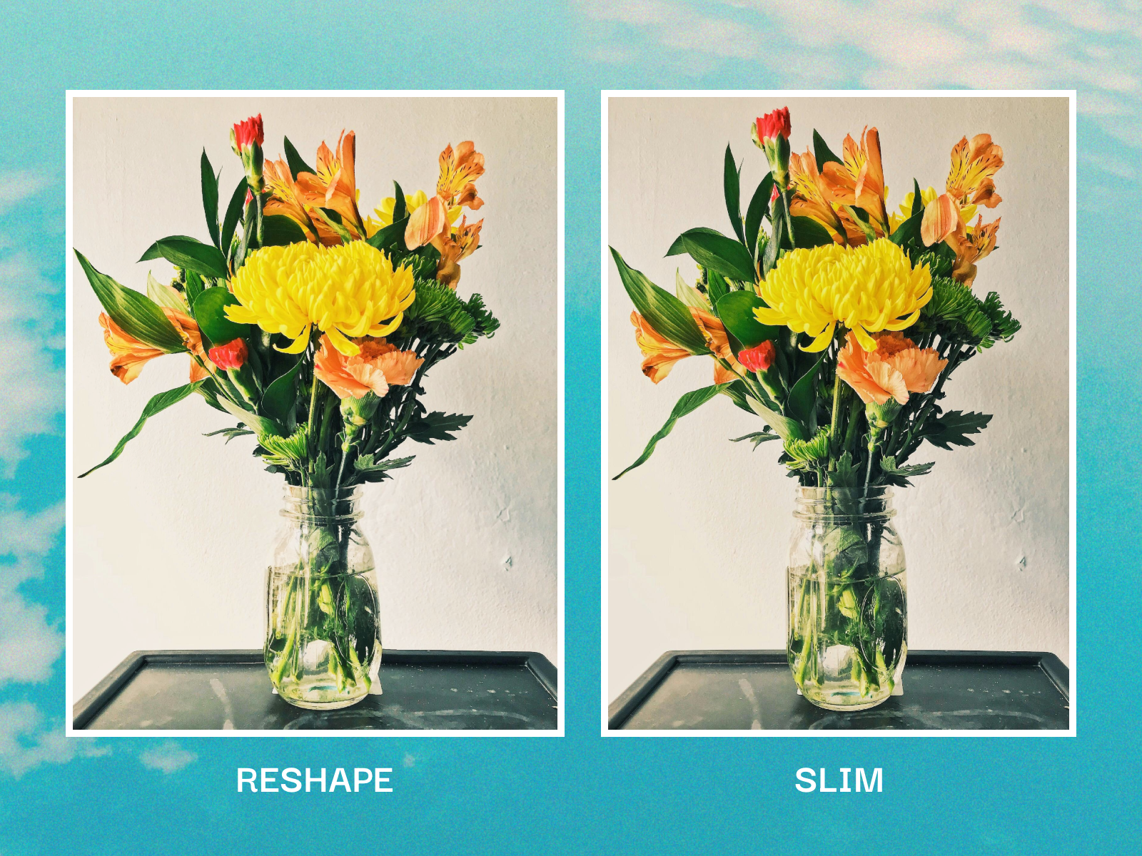 How to Reshape Photos With the Slimming Tool | Learn BeFunky
