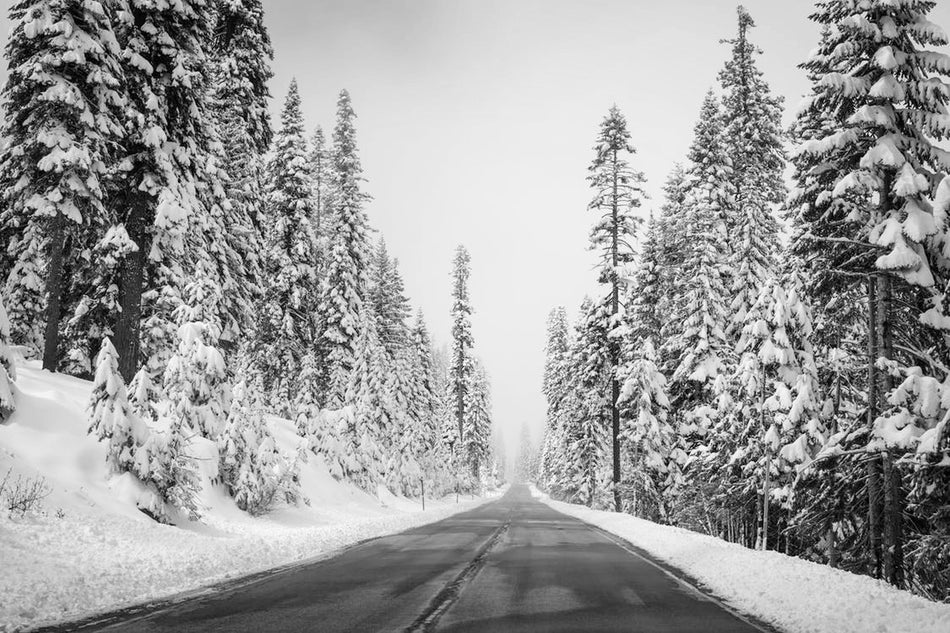 4 Amazing Effects For Winterizing Your Photos | Learn BeFunky