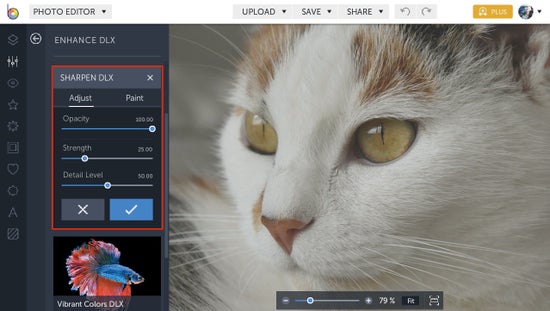 How To Enhance A Photo With Sharpen DLX | Learn BeFunky