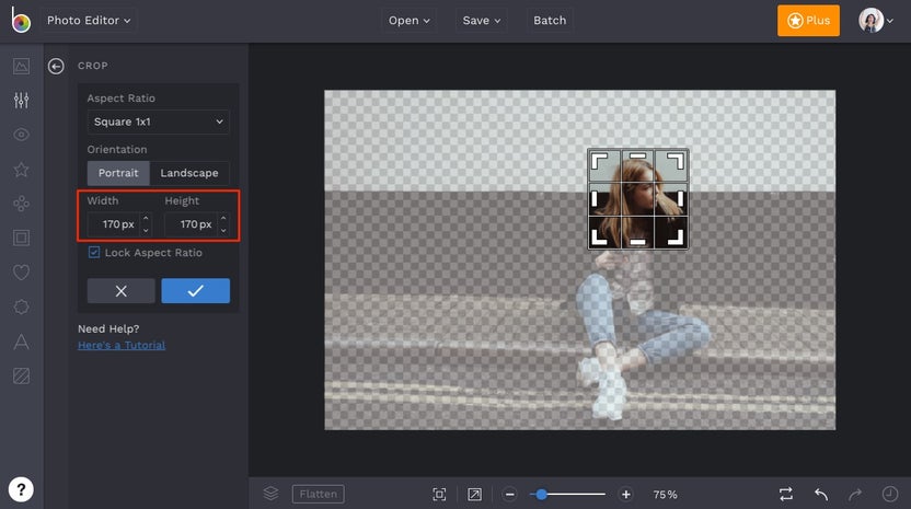 The Definitive Guide To Cropping And Resizing Images | Learn BeFunky