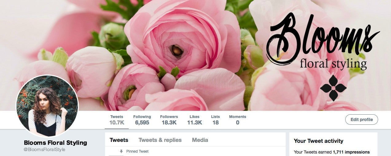 How To Create Perfectly Sized Twitter Headers | Learn BeFunky