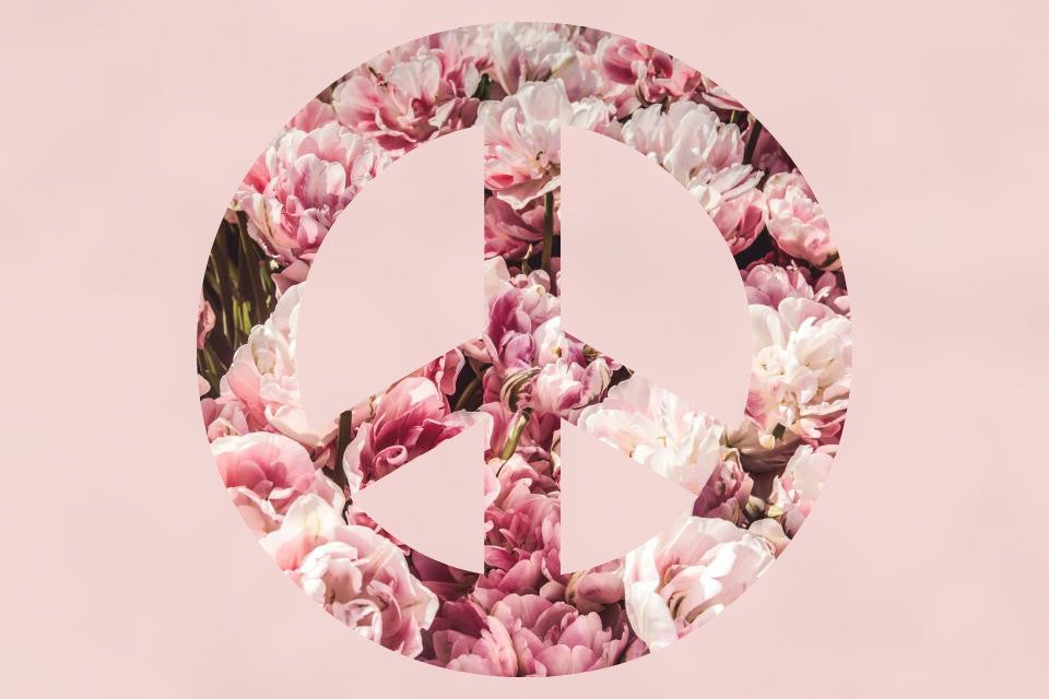 How to Add an Overlay to Your Photos | Learn BeFunky