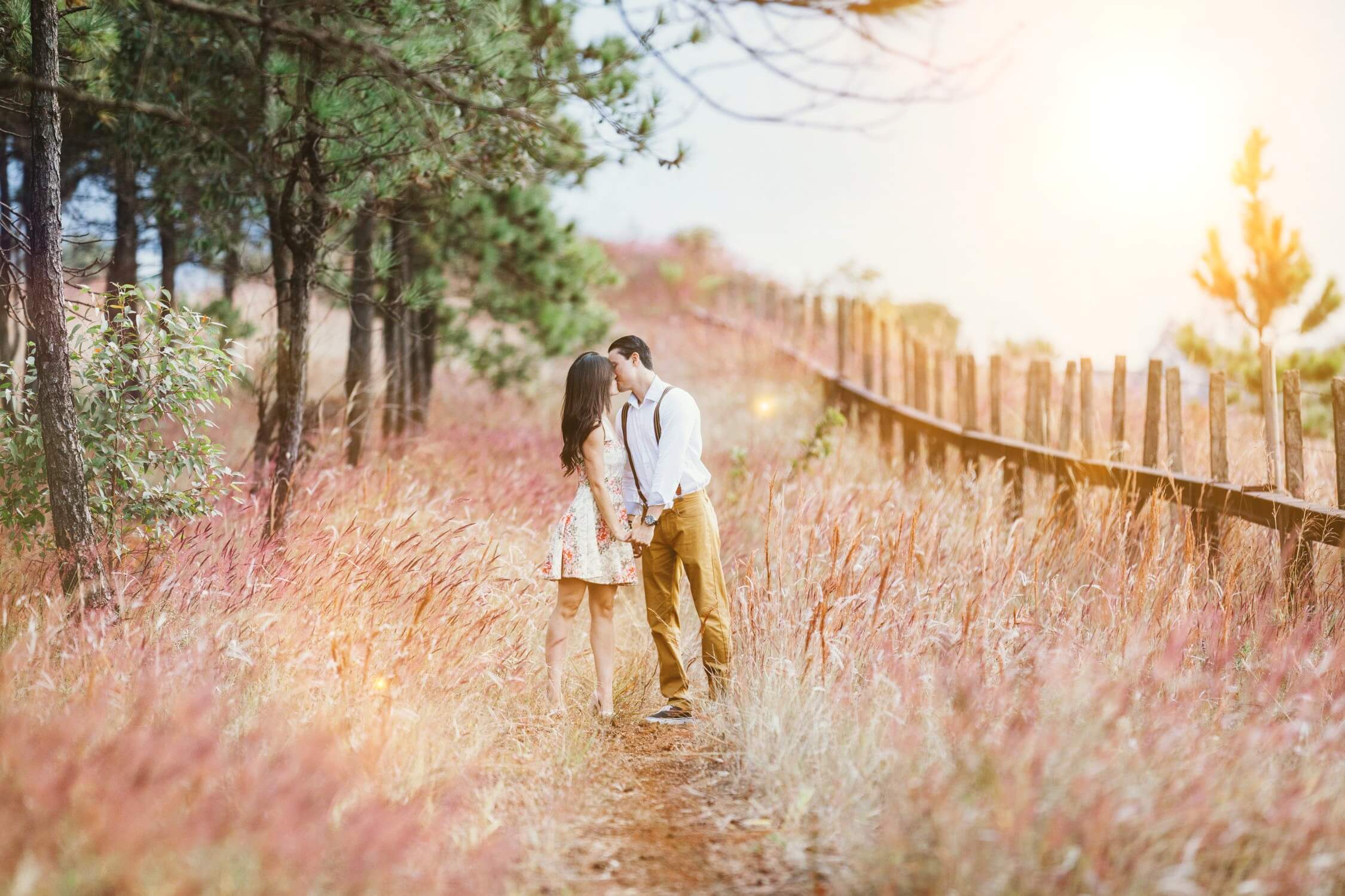 Add a Lens Flare Effect to Your Photos | Learn BeFunky