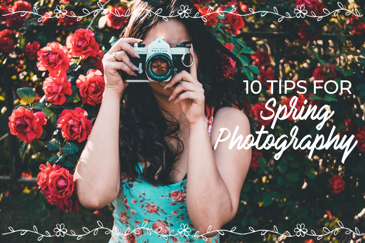 Add a Digital Frame to Your Photo | Learn BeFunky