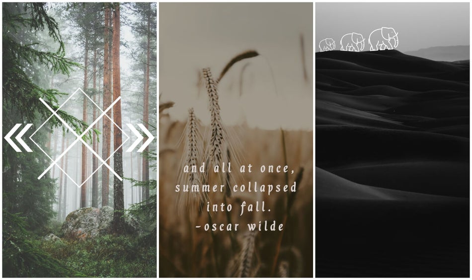 How to Design DIY Wallpaper for Your Phone | Learn BeFunky