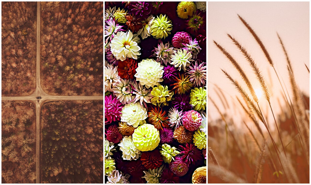 How to Design DIY Wallpaper for Your Phone | Learn BeFunky