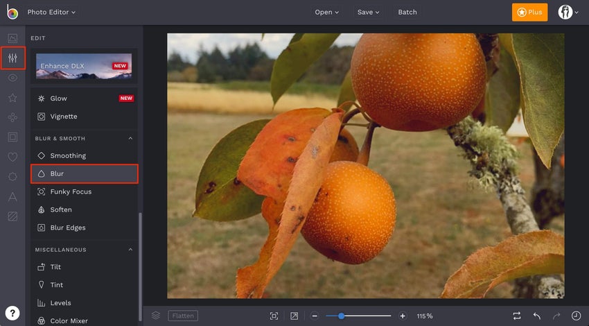How To Add Depth Of Field In-Camera Or While Editing | Learn BeFunky