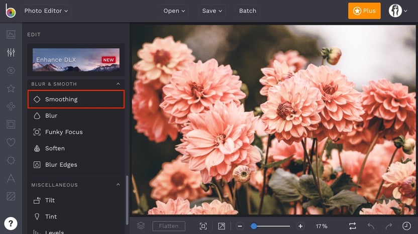 5 Tools To Blur Images The Way You Want | Learn BeFunky