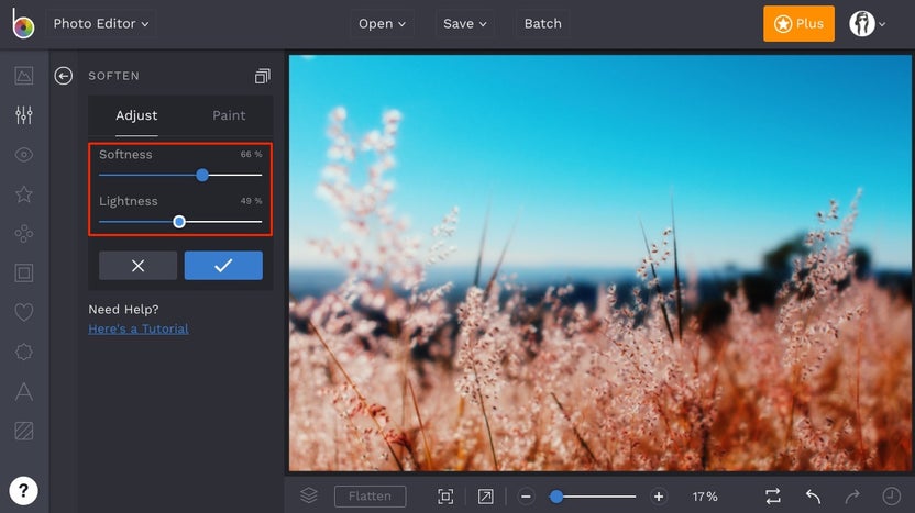 5 Tools To Blur Images The Way You Want | Learn BeFunky