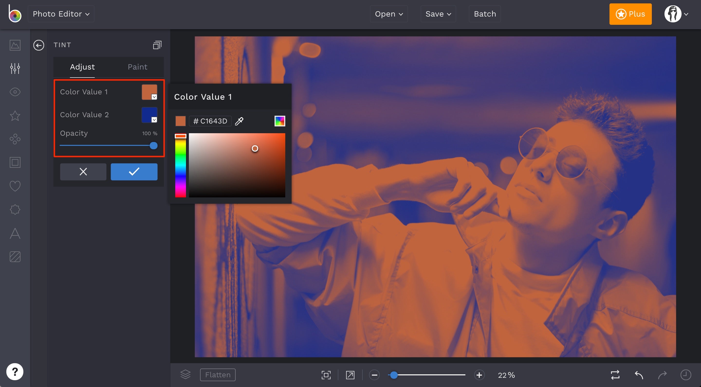 Create Photo Filters & Duotones With The Tint Tool | Learn BeFunky