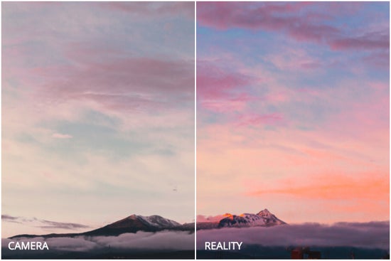 Color Correcting Made Easy With The Color Tool | Learn BeFunky