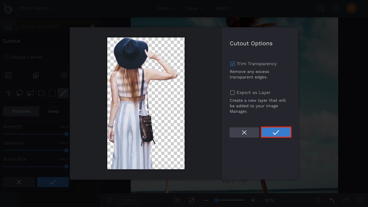 How to Cut Out Photos and Replace Backgrounds | Learn BeFunky