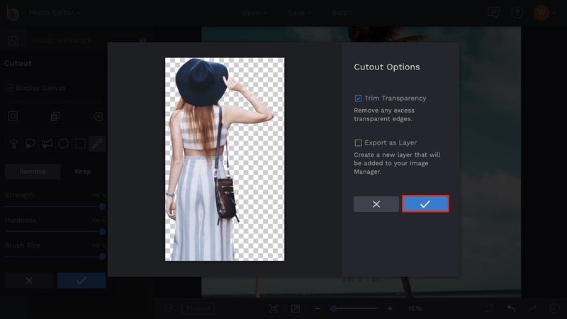 How to Cut Out Photos and Replace Backgrounds | Learn BeFunky