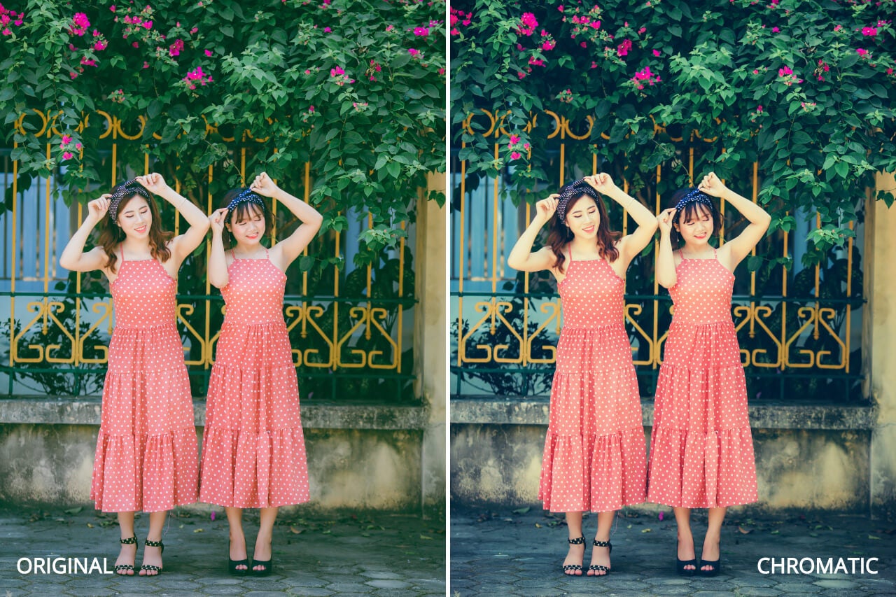 Photo Effects And Filters For Any Unique Look | Learn BeFunky