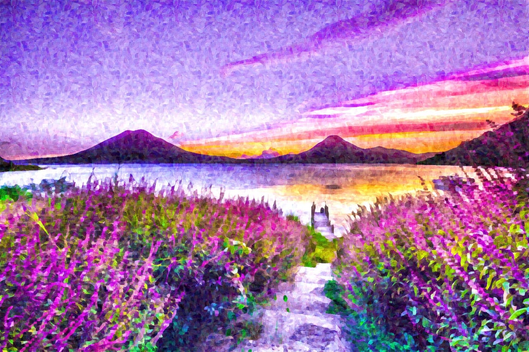 The Easiest Way To Turn Photos To Art | Learn BeFunky