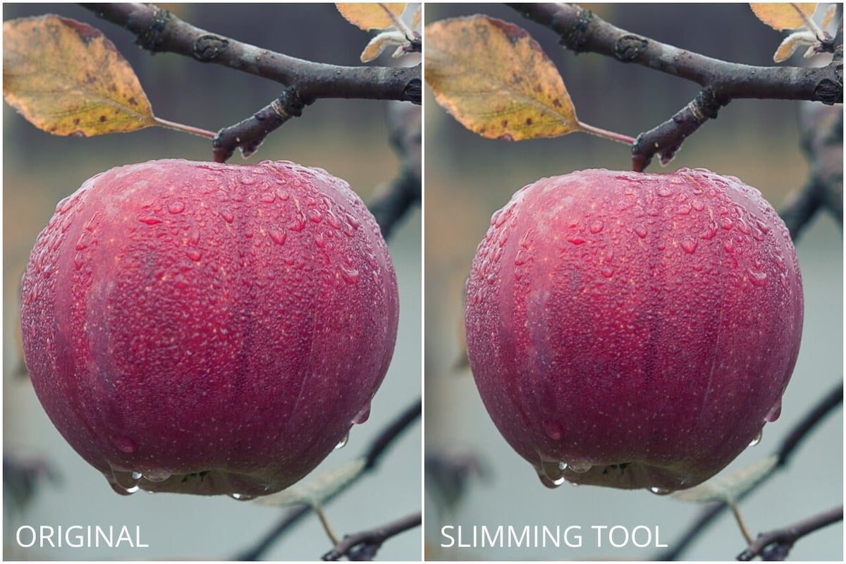 How To Reshape Photos With The Slimming Tool | Learn BeFunky