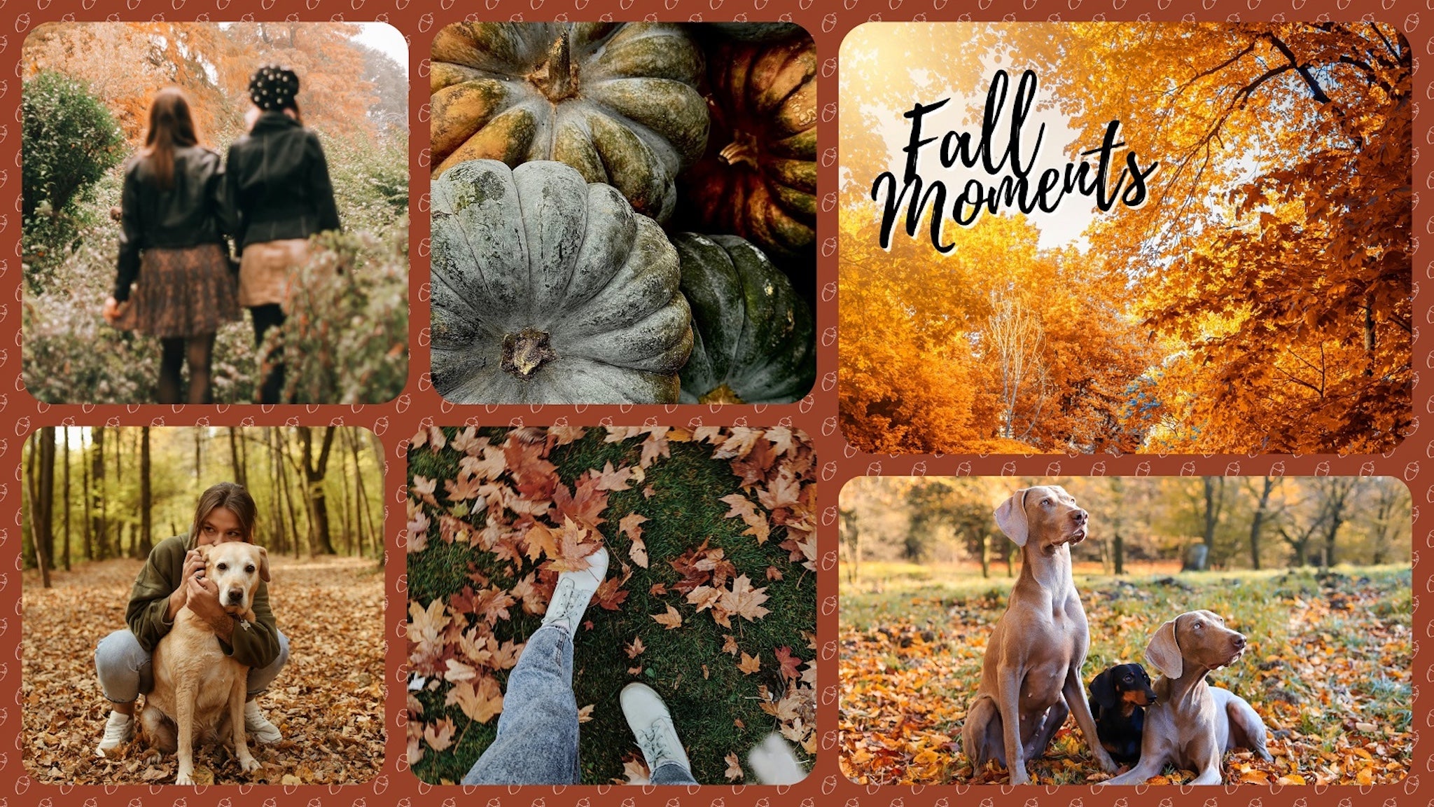 Add Eye-Catching Patterns to Your Collage Layouts | Learn BeFunky