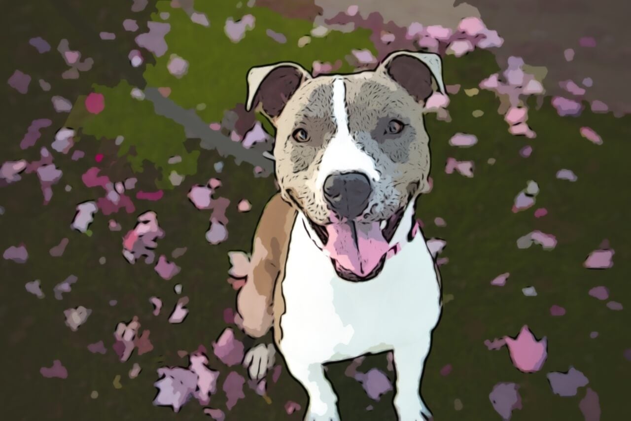 How to Turn Your Favorite Photos Into Cartoons | Learn BeFunky