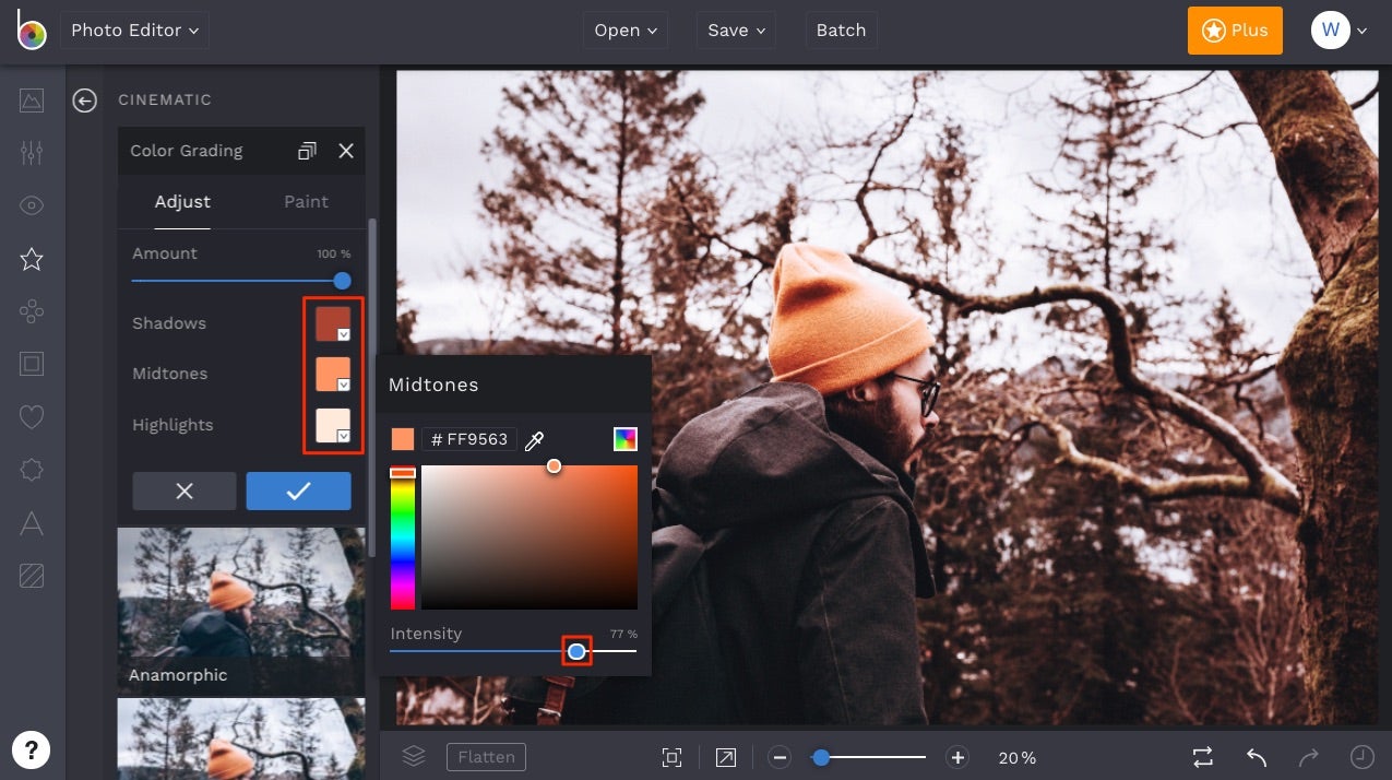 Get Award-Winning Photos With These Cinematic Effects | Learn BeFunky