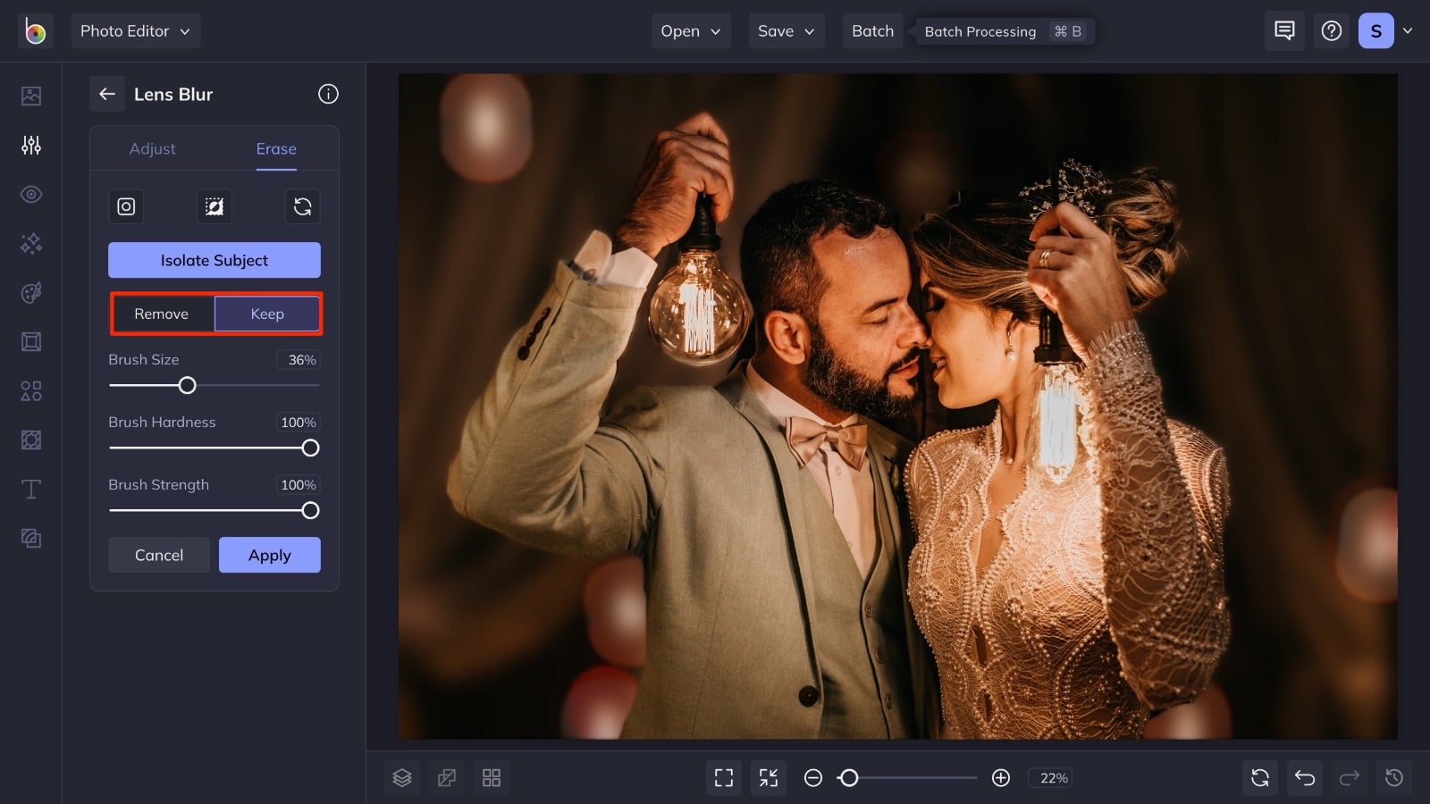 Bokeh & Blur Backgrounds With Lens Blur | Learn BeFunky
