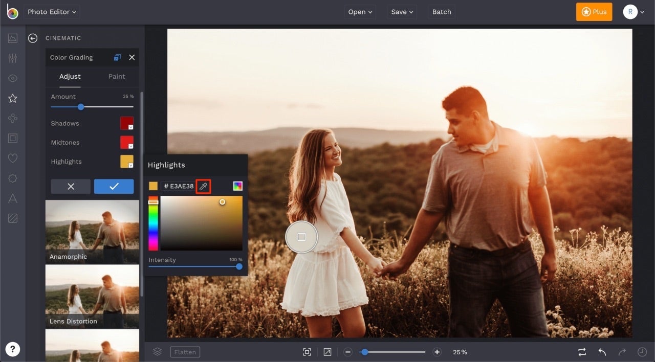 Create Custom Photo Filters With Color Grading | Learn BeFunky