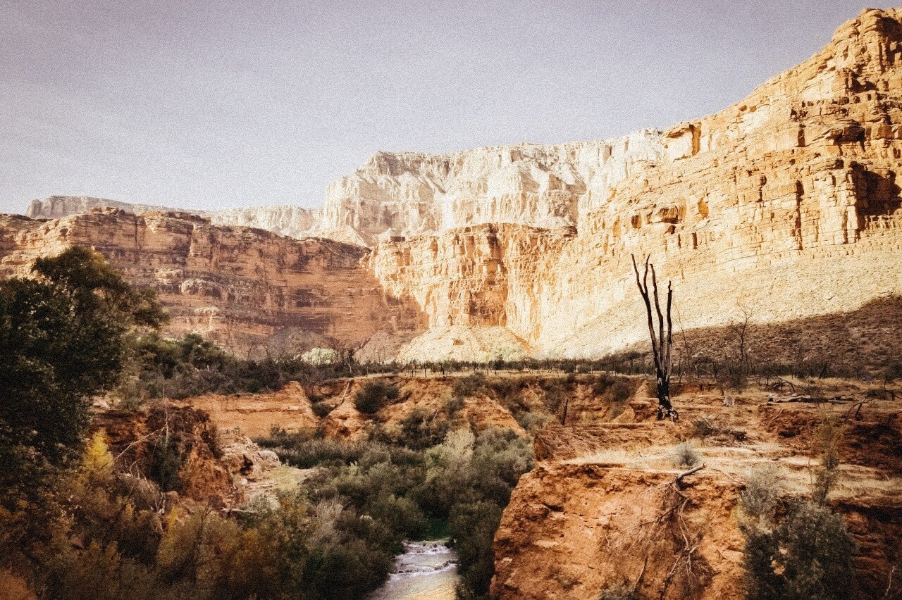 How To Add Film Grain To Photos For A Vintage Look | Learn BeFunky