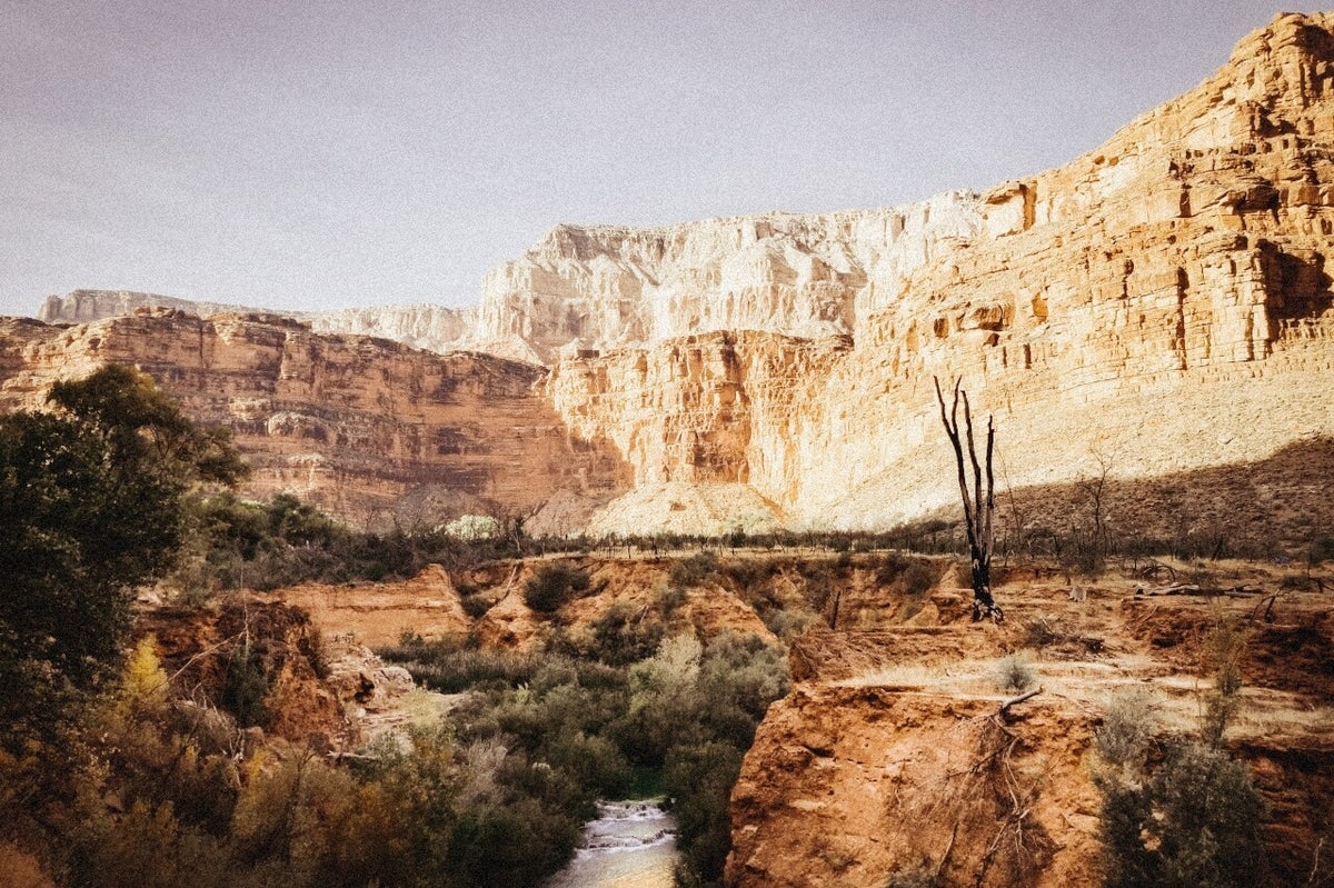 How To Add Film Grain To Photos For A Vintage Look | Learn BeFunky
