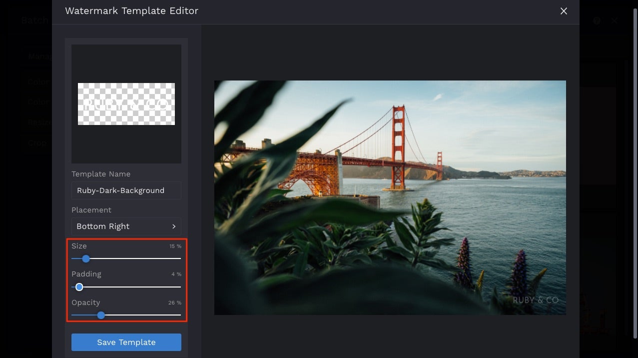 How To Batch Watermark Photos | Learn BeFunky
