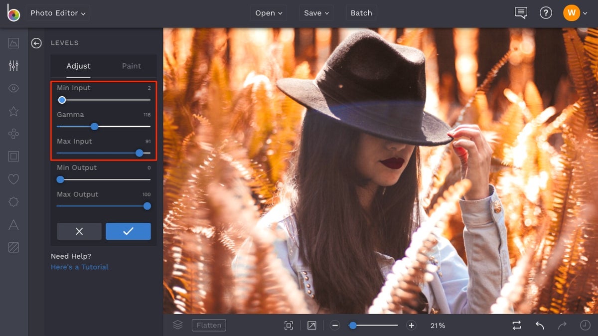 How To Brighten Photos With The Levels Tool | Learn BeFunky