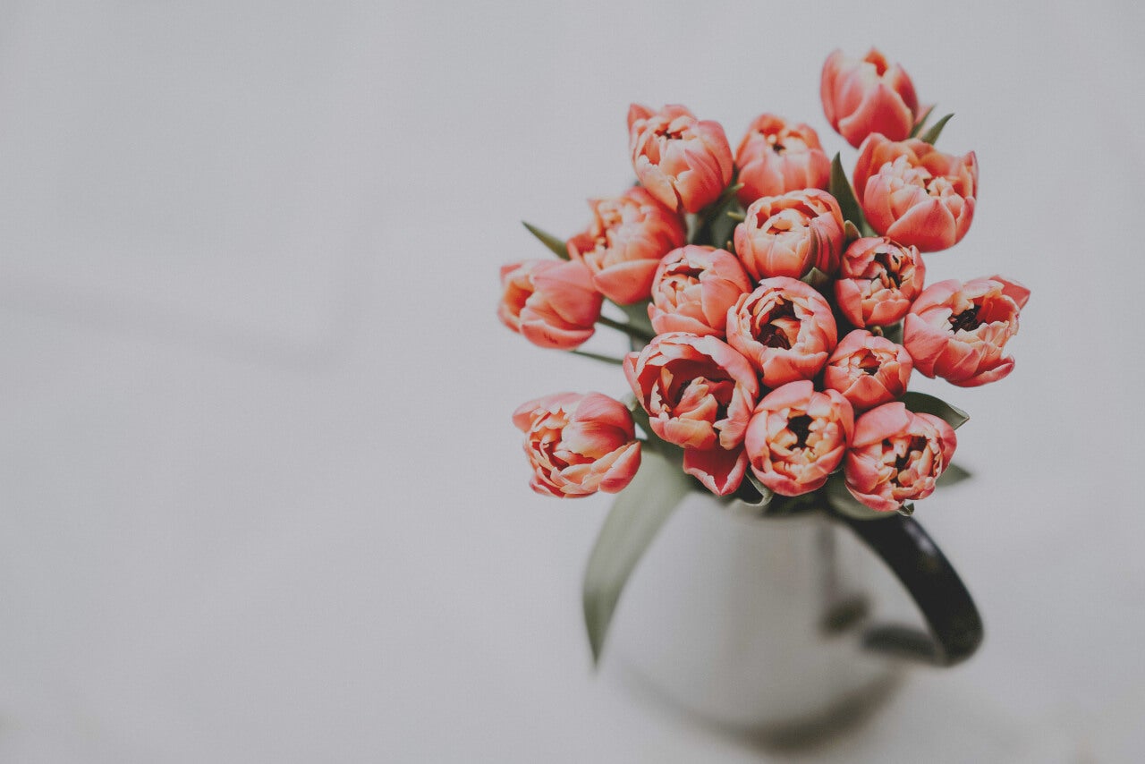 Adding A Matte Photo Effect With The Levels Tool | Learn BeFunky