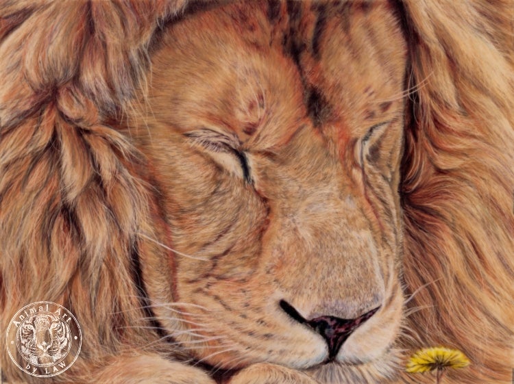 Lisa Ann Watkins: World Renowned Artist, Teacher, and BeFunky Advocate ...
