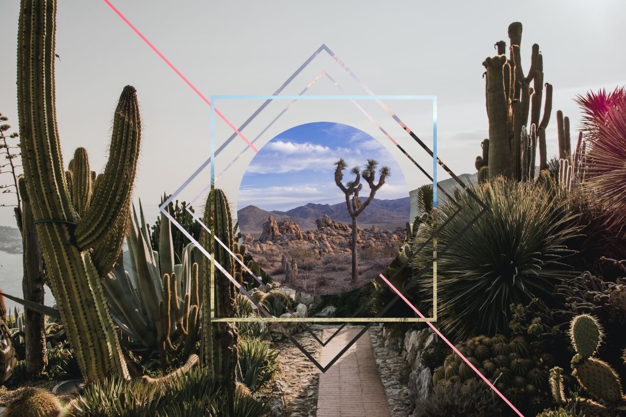 Create Unique Designs With Image-Filled Shapes and Text | Learn BeFunky