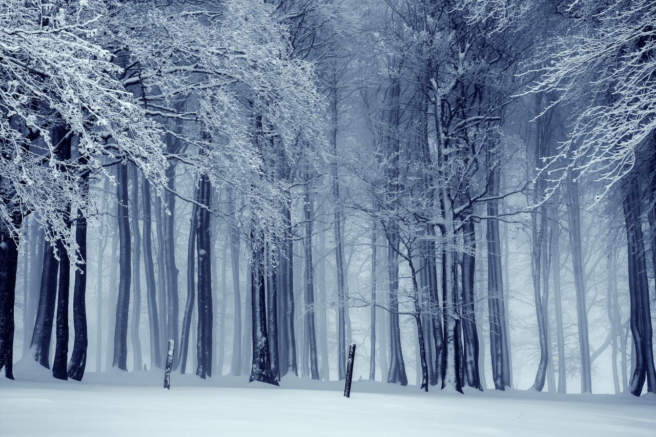 5 Photo Effects to Enhance Winter Photography | Learn BeFunky