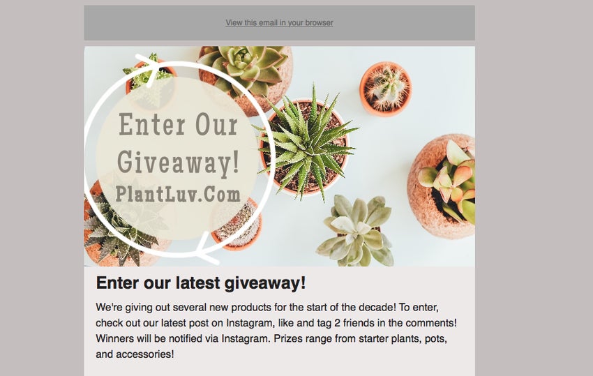 How To Create Effective Email Newsletter Graphics | Learn BeFunky