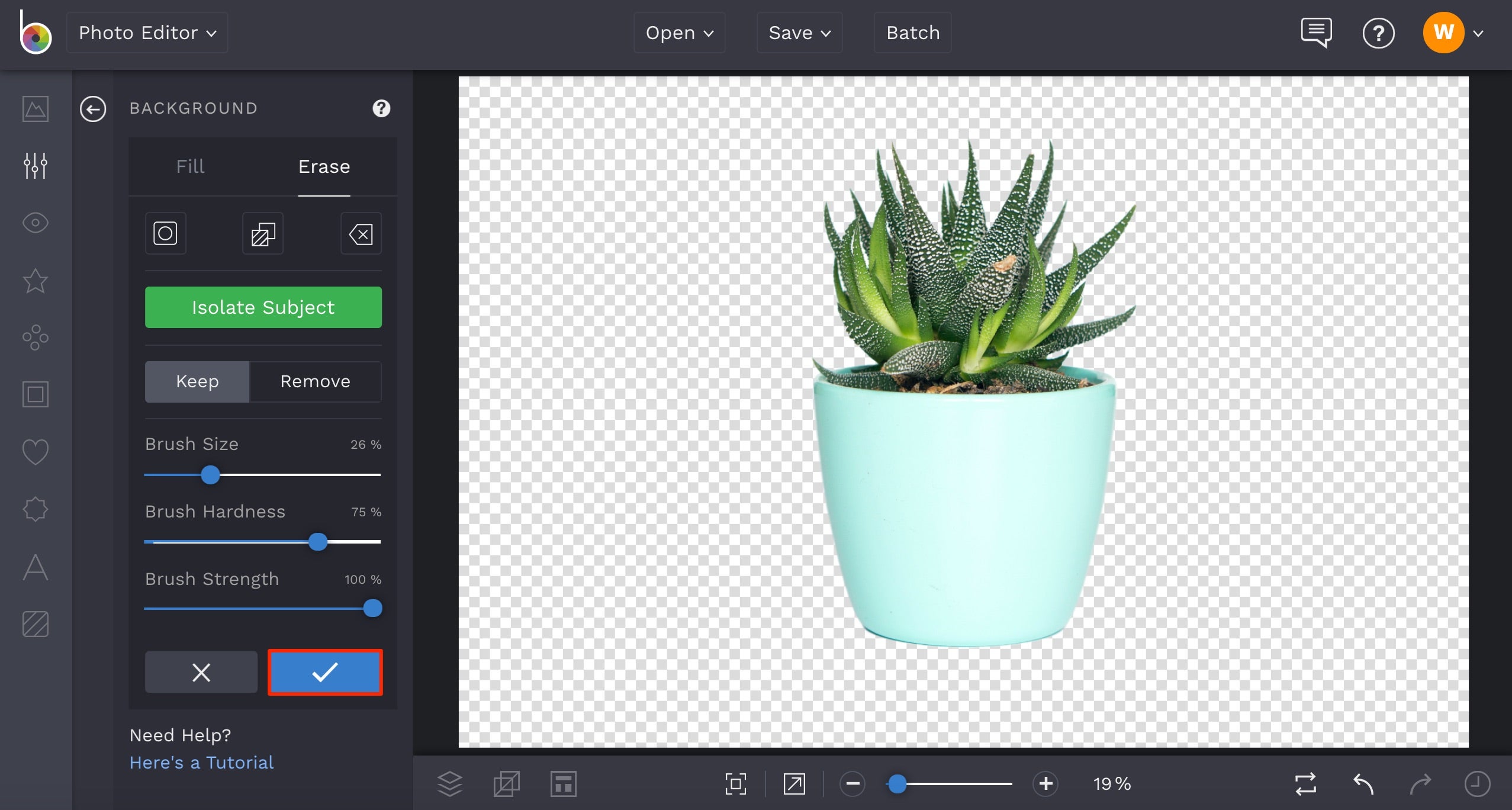 The 3 Best Tools To Remove Backgrounds In Photos | Learn BeFunky