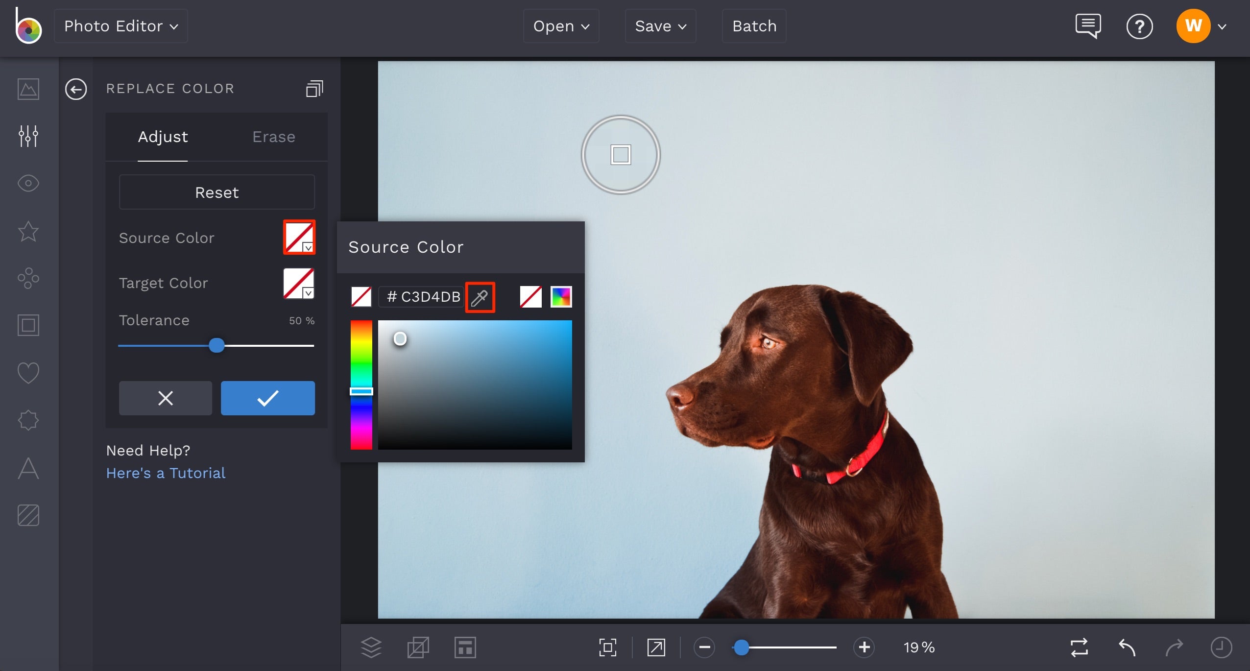 The 3 Best Tools To Remove Backgrounds In Photos | Learn BeFunky