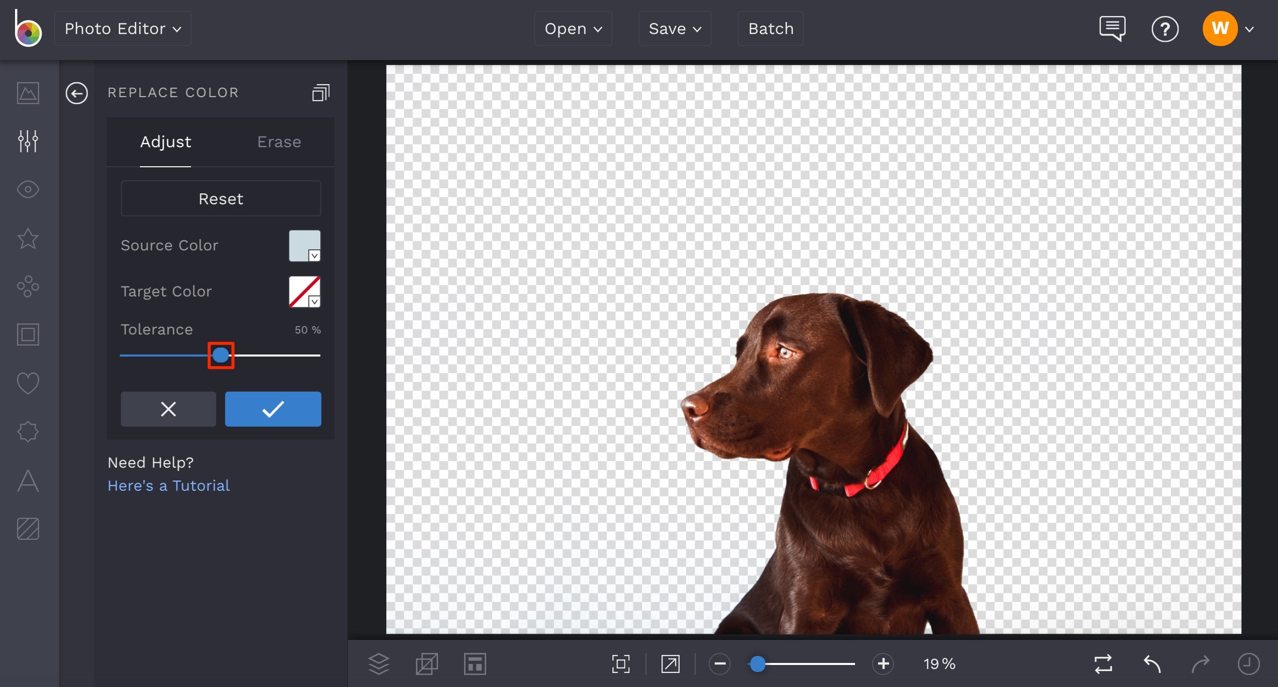 The 3 Best Tools To Remove Backgrounds In Photos | Learn BeFunky