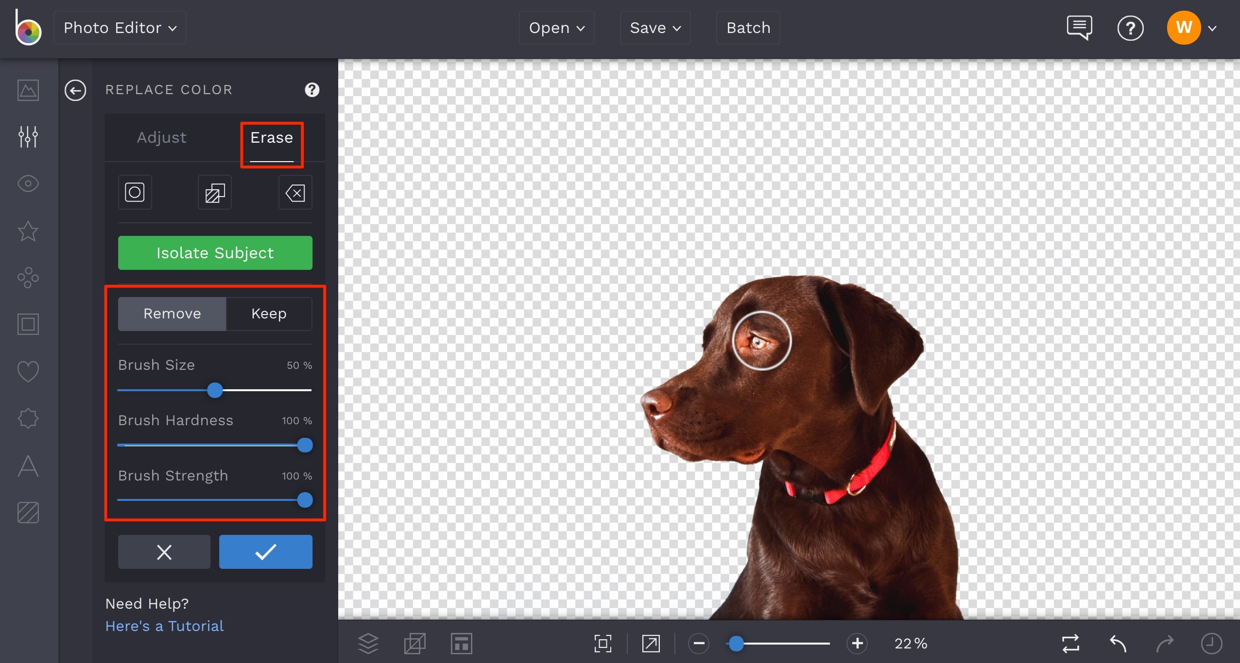 The 3 Best Tools To Remove Backgrounds In Photos | Learn BeFunky