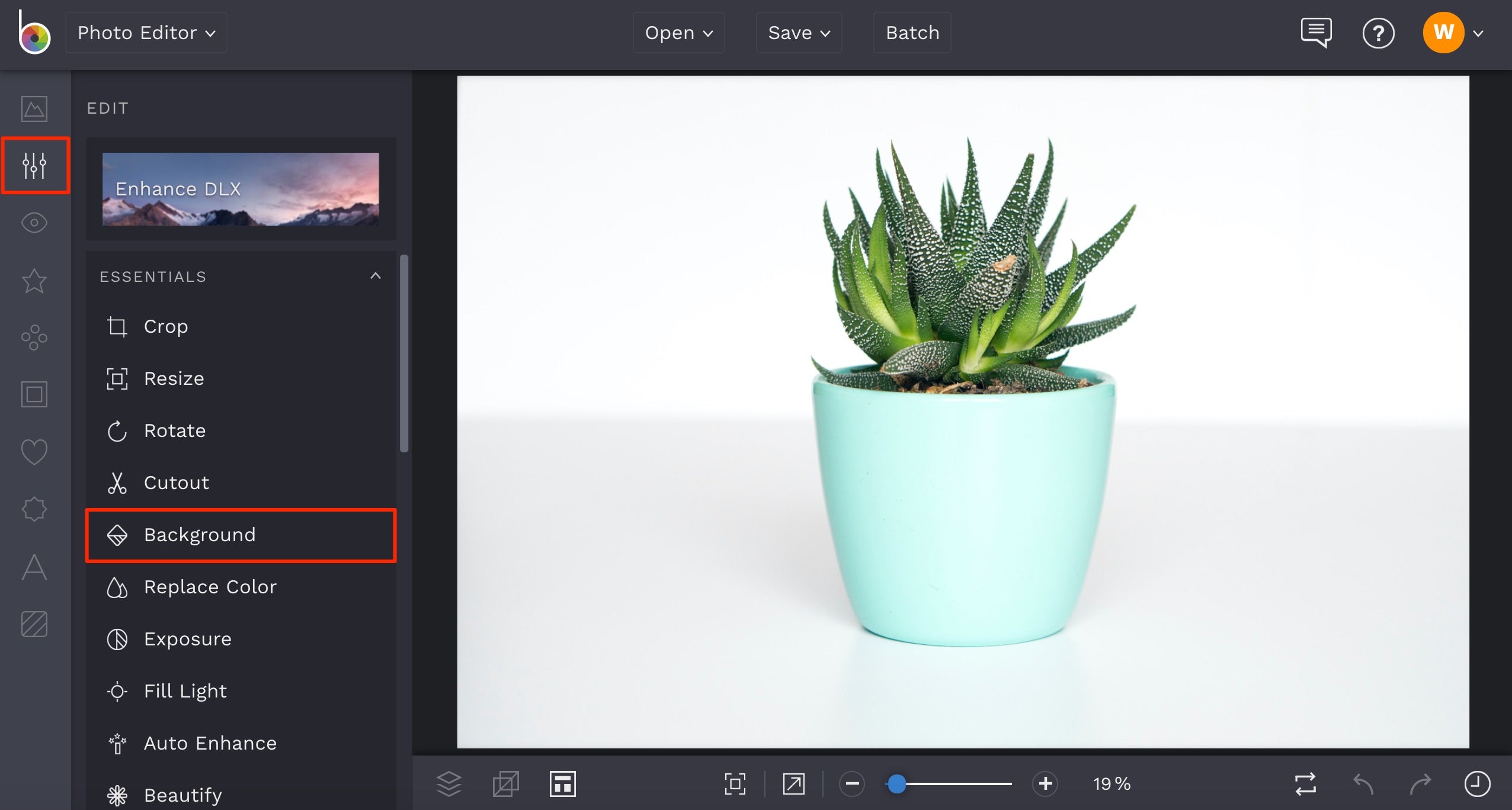 The 3 Best Tools To Remove Backgrounds In Photos | Learn BeFunky
