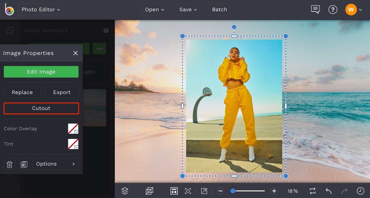 Our Improved Cutout Tool & Magic Brush | Learn BeFunky