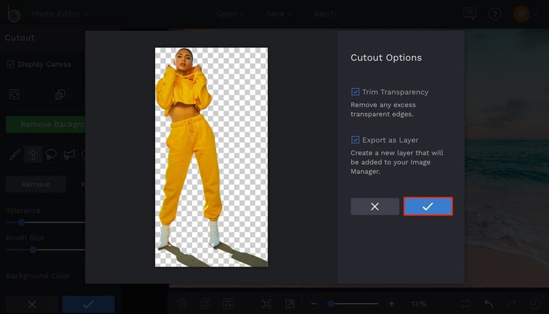 Our Improved Cutout Tool & Magic Brush | Learn BeFunky