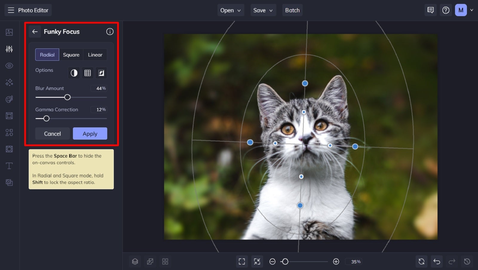 3 Ways to Blur the Background of Your Photos | Learn BeFunky