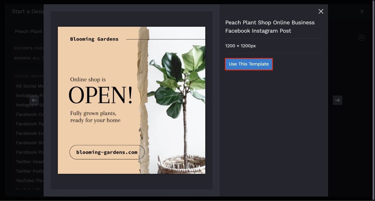 How to Design On-Brand Facebook Graphics for Your Posts | Learn BeFunky