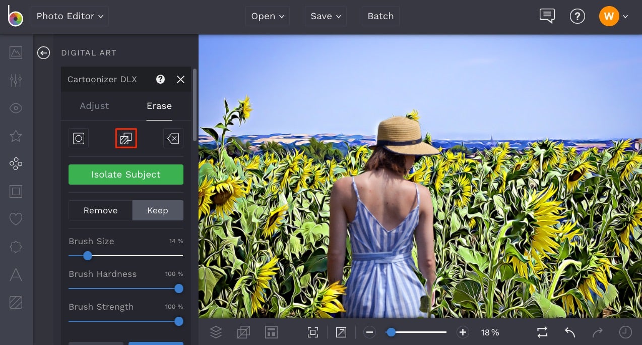 How to Turn Photos to Art More Selectively Than Ever | Learn BeFunky