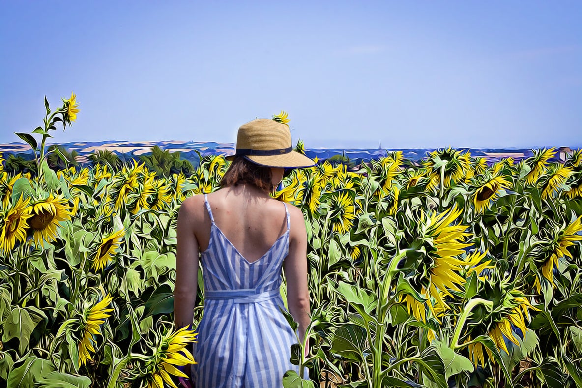 How to Turn Photos to Art More Selectively Than Ever | Learn BeFunky