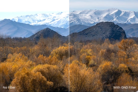 Tips for Capturing and Editing Nature Photography | Learn BeFunky